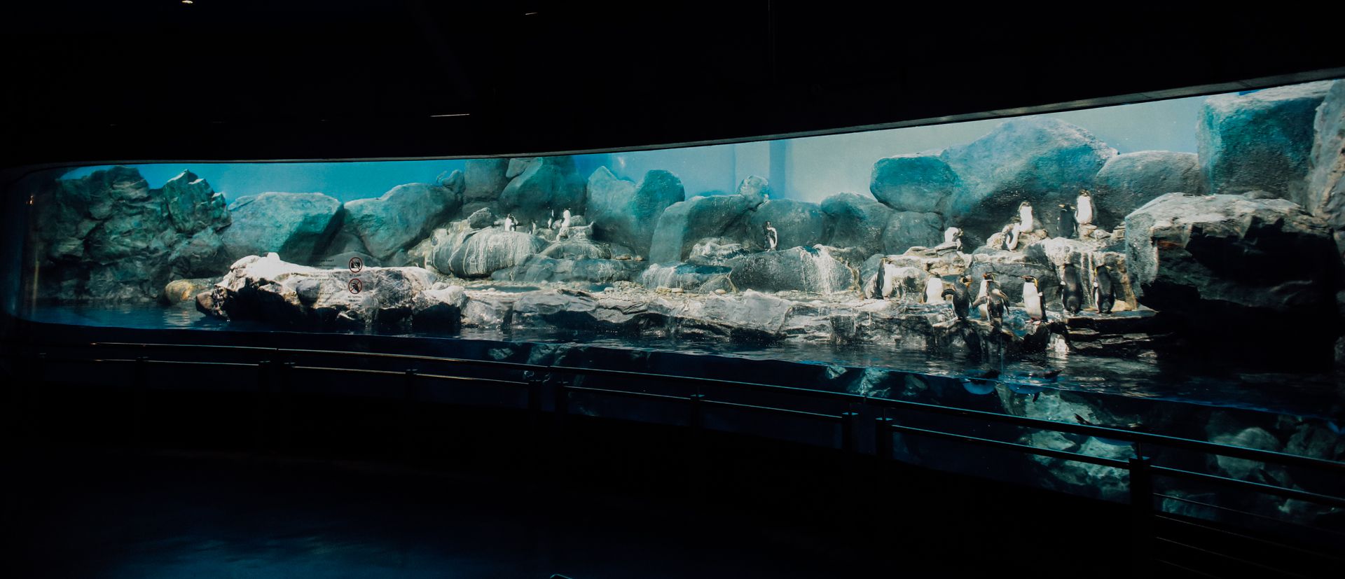 Activities | Travelog