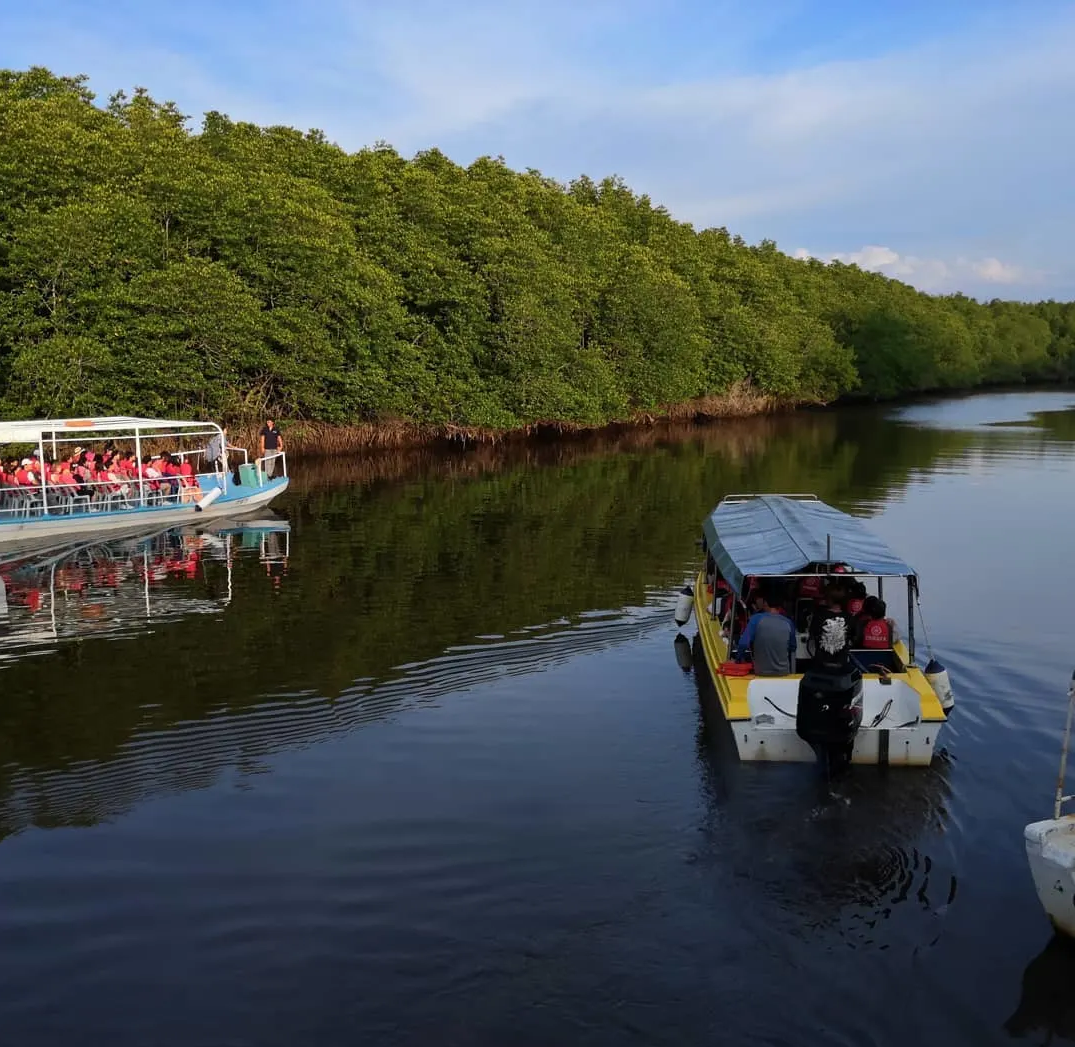 Activities in Sabah | Travelog