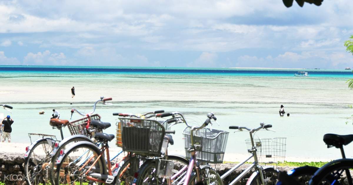 Activities in Okinawa | Travelog